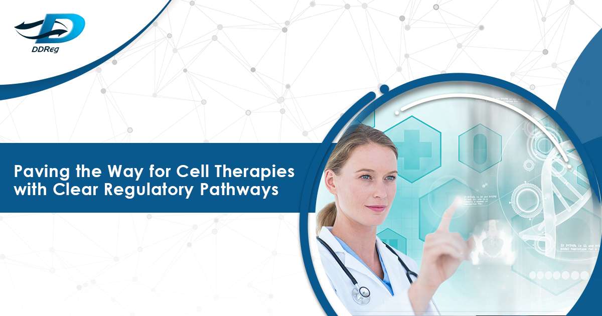 Regulatory Pathways for Cell-Based Therapies in Oncology - DDReg Pharma